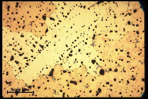 Copper And Copper Alloy Microstructures Copper Tin Alloys