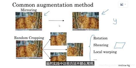 深度学习 数据增强data Augmentation数据扩充和数据增强 Csdn博客