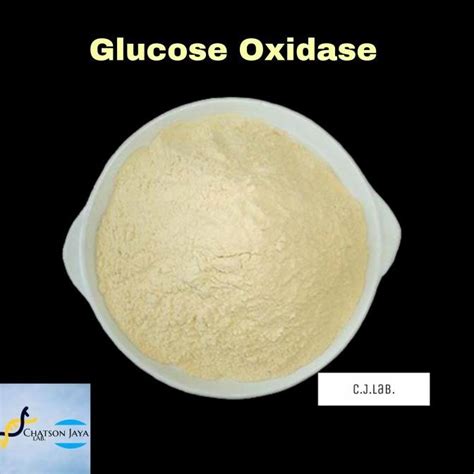 Jual Enzim Glucose Oxidase Powder 10 Gr Enzim Glukosa Oksidase 10 Gr
