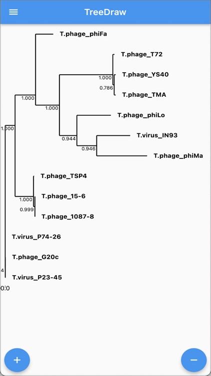 Phylogenetic Tree Draw By Sigmar Stefansson