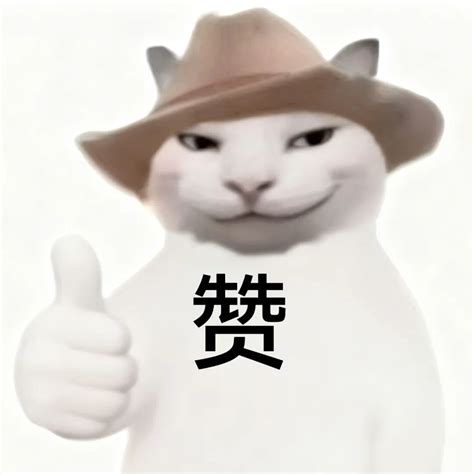 没建模没经济的干嘛猫表情包合集 戴帽猫咪竖大拇指配 赞”字，赞同认可表情包表情包图片动图 求表情网斗图从此不求人