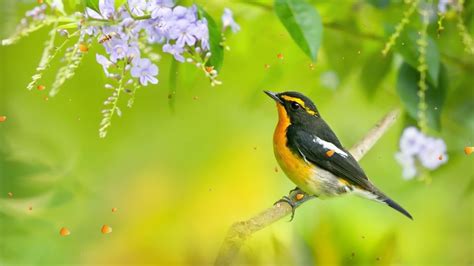 아침에 들으면 좋은 클래식명곡 연속듣기♬ ♫유명한 클래식 음악 연속듣기♬ ♫최고의 클래식 명곡 연속듣기 Youtube