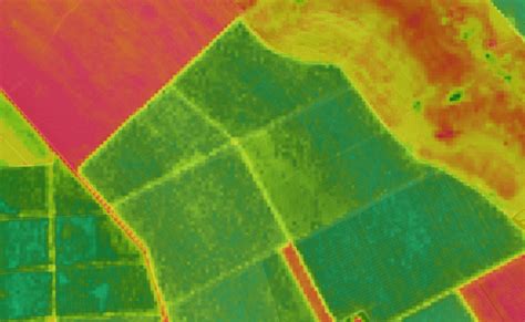 Crop Health Assessment Farm Doctors