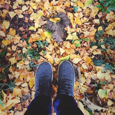 Michelle Mei Yi Tan On Linkedin Hey Friends And Colleagues I