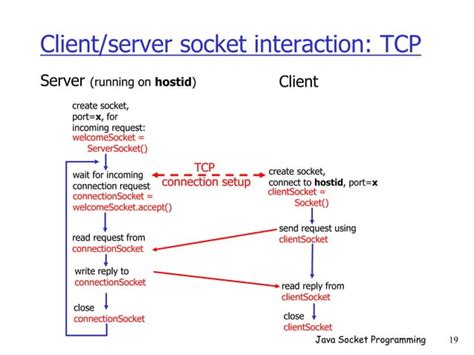 Networkingpptclientserver Socket Uses In Program Ppt