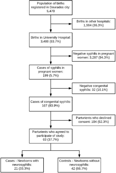 Flowchart Of Cases Of Congenital Syphilis In The University Hospital Download Scientific