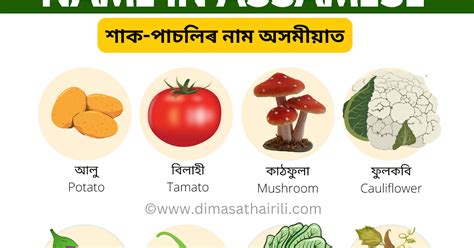 Vegetables Name In Assamese And English With Pictures শাক পাচলিৰ নাম অসমীয়াত