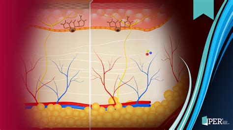 Atopic Dermatitis Pediatric Personalized Management Plans Mycme