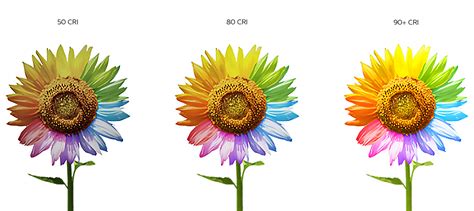 What Is Cri The Meaning Of Color Rendering Index In Lighting