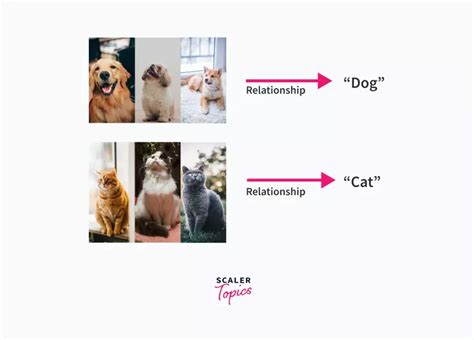 Supervised And Unsupervised Learning Scaler Topics