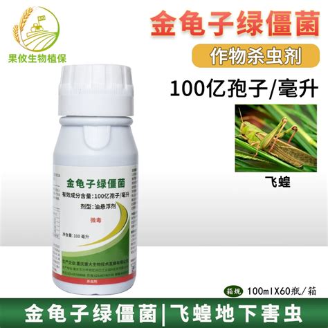 归燕100亿金龟子绿僵菌二化螟飞蝗烟粉虱蓟马草地贪夜蛾杀虫剂虎窝淘