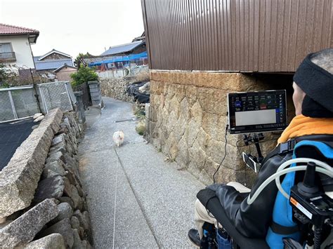 鹿島の段々畑 彷徨える歯科医