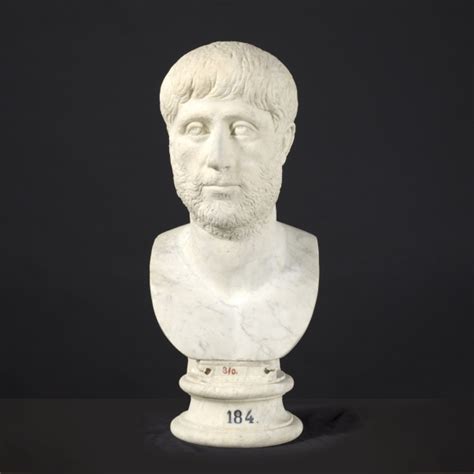 Retrato De Un Joven Colecci N Museo Nacional Del Prado