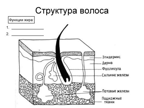 золотой венец презентация онлайн
