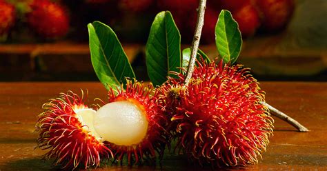 Rambutan Fruit Key Health Benefits And Uses Miditer