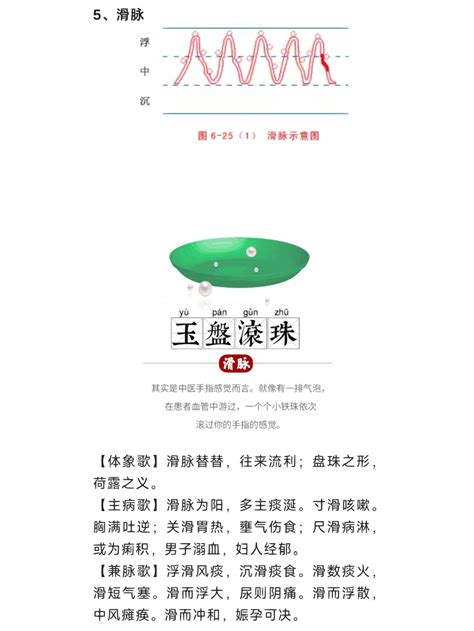 二十八种脉象的脉诊歌诀附动态图解