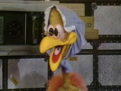 Doobys Duck Truck Tvark