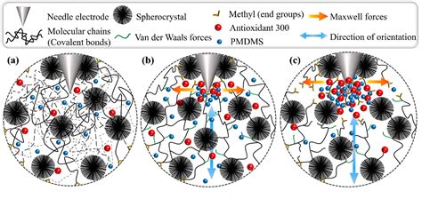 Figure 13 From Enhancing Inhibition Of Electrical Treeing In Xlpe Cables Based On The Targeted