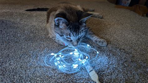 These Dollar Store Led String Lights Cost 6 And Punch Way Above Their Weight Cnet