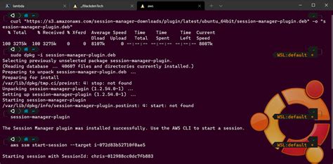 Connect To Private Ec2 Instances Without An Aws Bastion Host