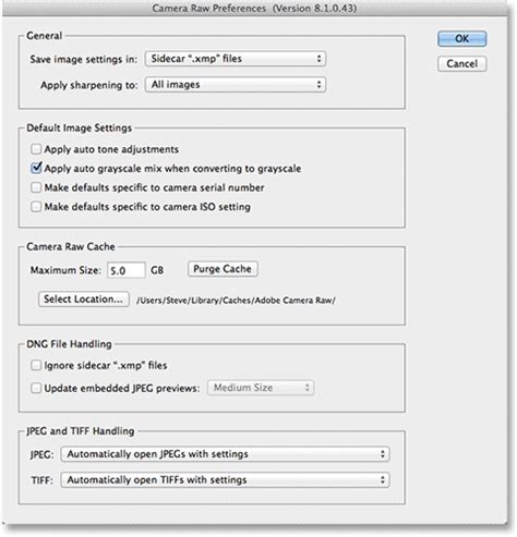 CS Camera Raw Interface Essentials Tutorial
