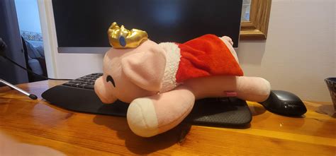 Got Him R Technoblade