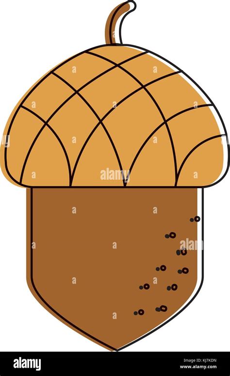 Isolated Acorn Design Stock Vector Image And Art Alamy