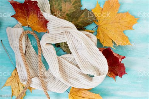 화이트가을 잎에 청록색 배경에 양모 스카프를 짠 온 정 및 안락의 분위기 0명에 대한 스톡 사진 및 기타 이미지 0명 가을 겨울 Istock