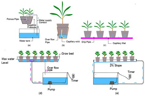 A Semi Systematic Review Of Capillary Irrigation The Benefits