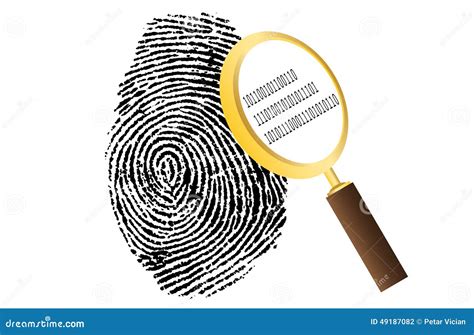 Fingerprint With Magnifying Glass And Binary Code Security Stock Vector