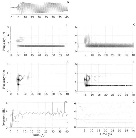 Deconvolution Of Two Synthetic Signals Obtained By Using Two Download Scientific Diagram