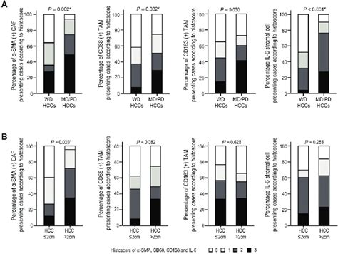 The Alteration Of Tumor Stromal Cells According To Differentiation And