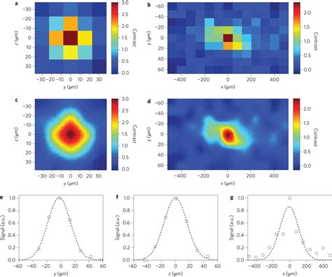 PSF Measurement A Measured Transverse PSF Through 2 Mm Thick Tissue Download Scientific