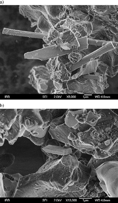 FE SEM Micrographs Of Sample B Two Details A B Download Scientific Diagram