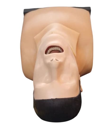 Silicone Difficult Intubation Traine At ₹ 350000 Piece In Gurugram Id