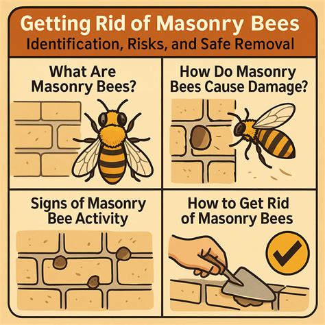 Bees Archives How To Pest Control