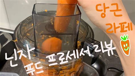 호주리뷰 닌자 푸드 프로세서 정말 잘 샀다 당근라페 꿀 맛 Youtube