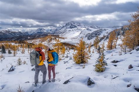 Healy Pass Trail The Best Larch Hike In Banff National Park Uprooted