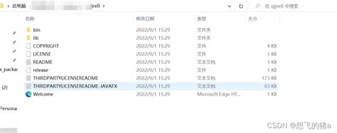 Java8下载安装详细教程，环境配置，java、jre下载安装教程，此电脑图标位置，电脑处理器版本查询查询 Csdn博客