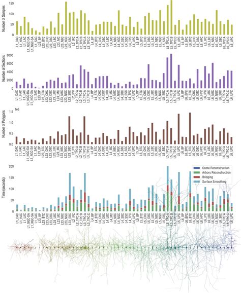 Performance Profiles Representing The Time In Seconds Of