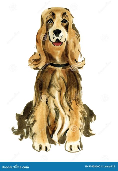 English Cocker Spaniels Portraits Dog Breed Two Dogs Vector