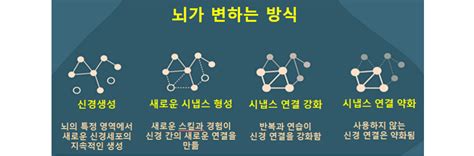학습과학 새 연재12 교사는 학생의 뇌를 변화시키는 사람 교육을바꾸는사람들