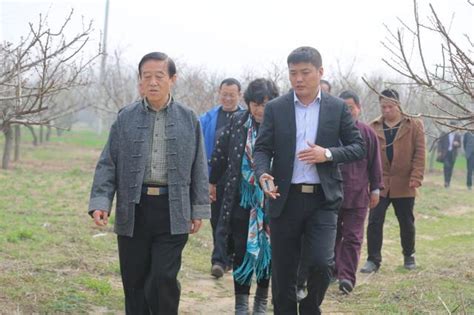 陳氏太極掌門人陳正雷到淮陽太昊陵拜謁人祖伏羲尋訪太極之源 每日頭條