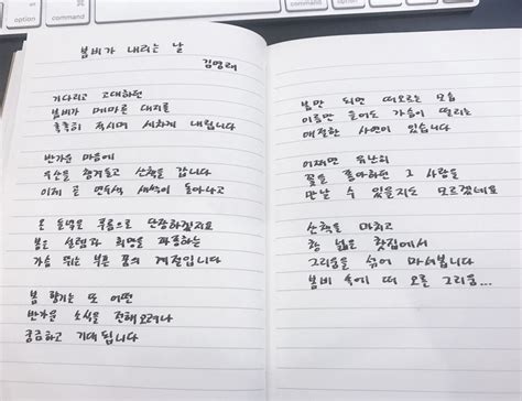 0411 봄비가 내리는 날