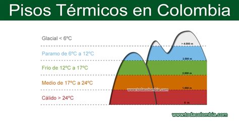 Pisos Térmicos Definición Clasificación Y Concepto Básico