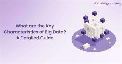 Key Characteristics Of Big Data Introduction Types And Examples