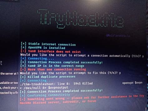Openvpn Issue Rtryhackme