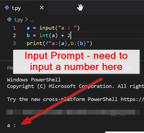 Visual Studio Code Why Outputs Differ Between Vscode Python Terminal
