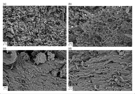 Sem Micrograph Showing Fracture Surface Morphology Of A Unfilled B