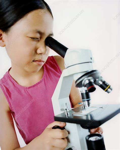 Girl Using A Microscope Stock Image F Science Photo Library